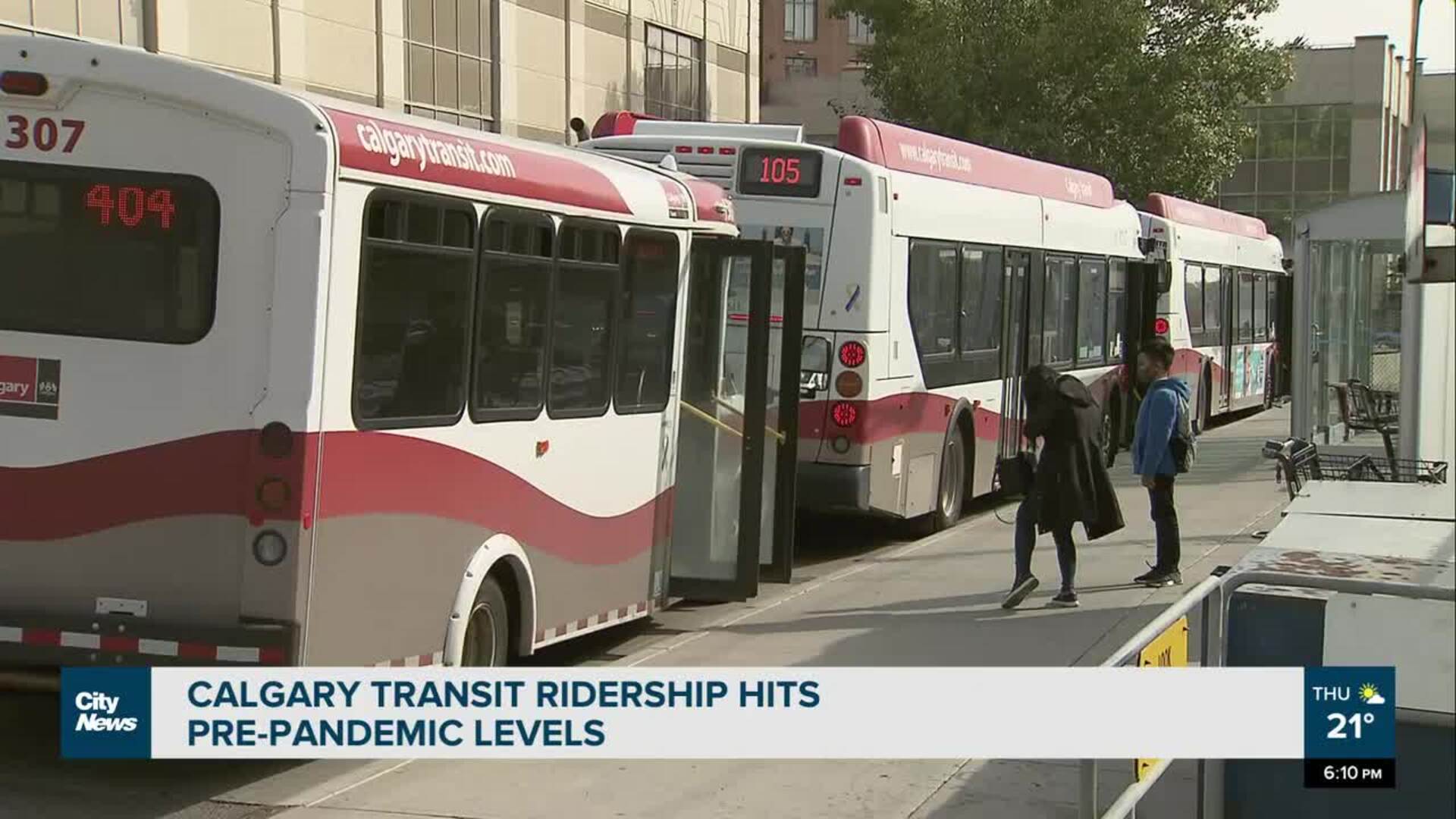 Joey Chestnut sets new record at post-pandemic hot dog race | CityNews ...