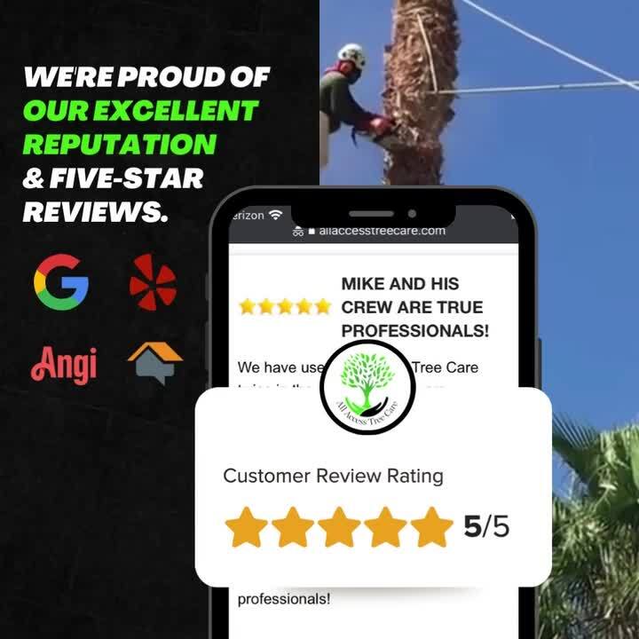 ALL ACCESS TREE CARE - 155 Photos & 225 Reviews - 289 Vernon Way, El ...