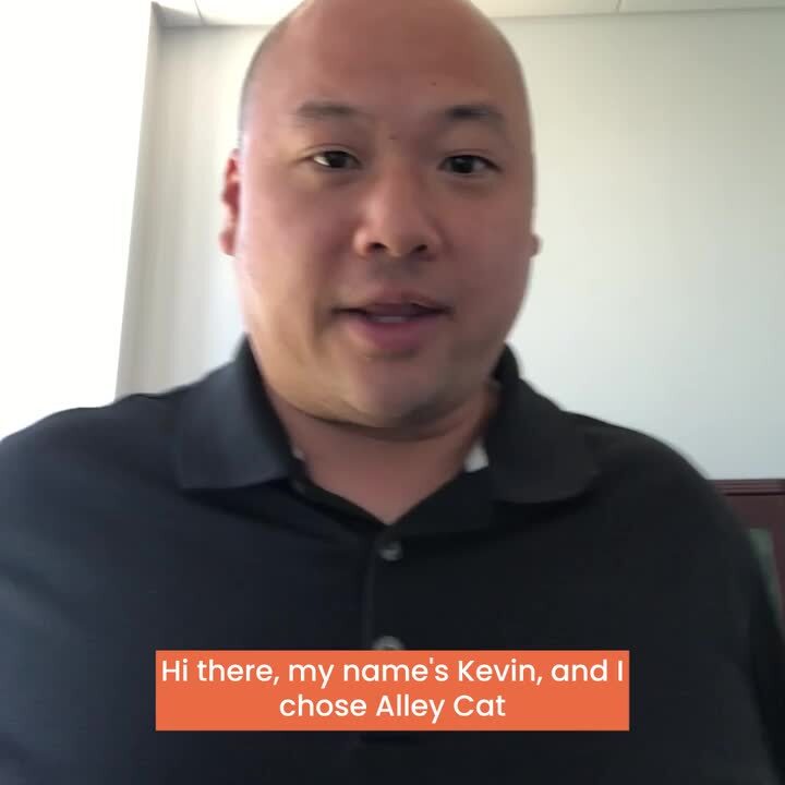 ALLEY CAT RODENT EXCLUSION - Updated October 2025 - 141 Photos & 493 ...