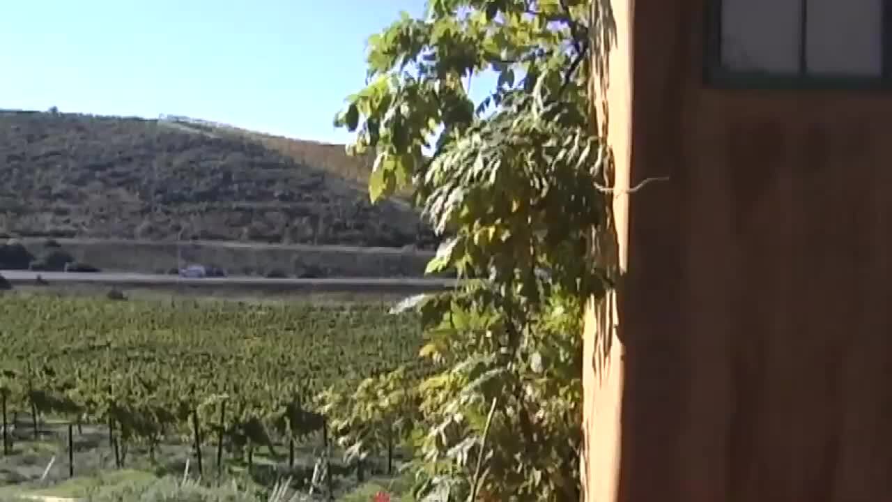 FRISCO LIMO - Updated October 2025 - 88 Photos & 259 Reviews - 611 ...