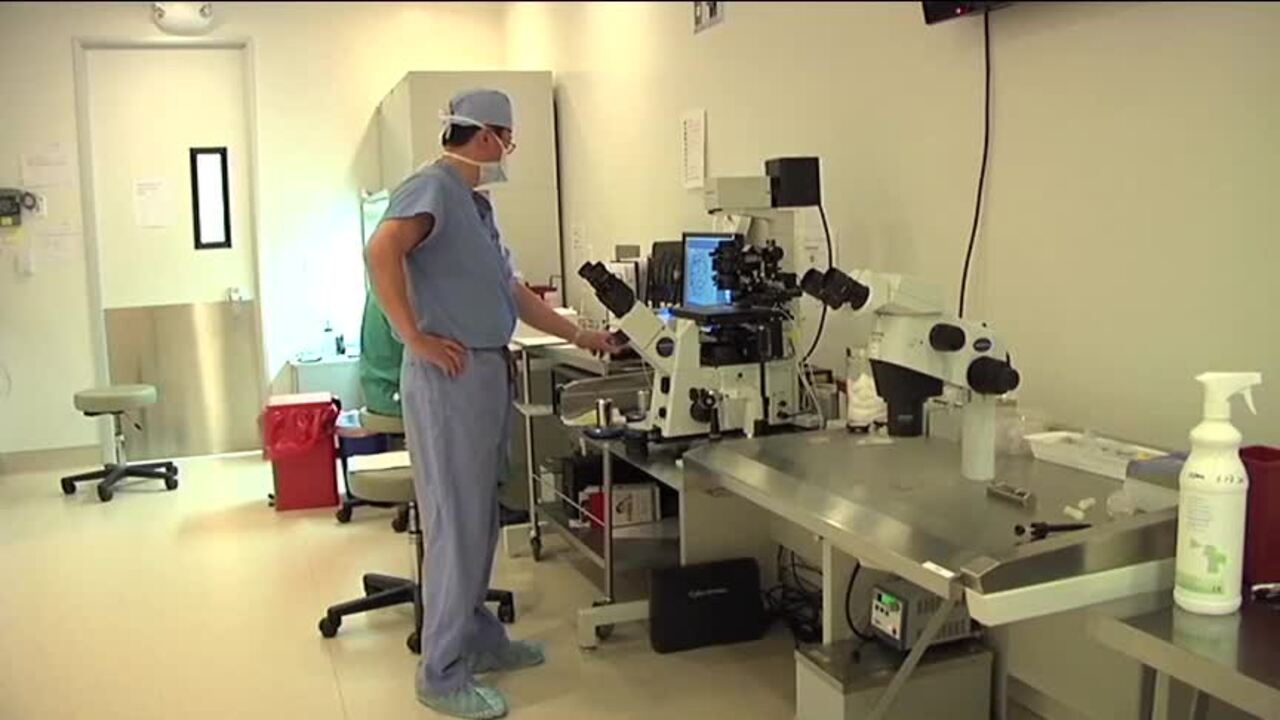 LIFE IVF CENTER - Updated September 2025 - 79 Photos & 240 Reviews ...