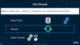 SAS Viya – CAS Server Life Cycle Management