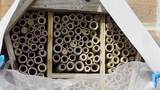 Hatching time for the 🐝 Mason Bees 🐝 - Samsung Community
