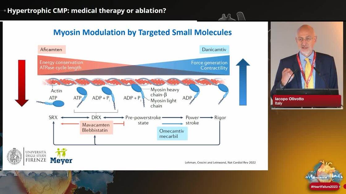 ESC 365 - Hypertrophic CMP: medical therapy or ablation?