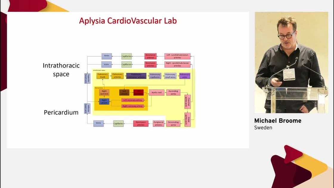 ESC 365 - Introduction to hemodynamic simulation