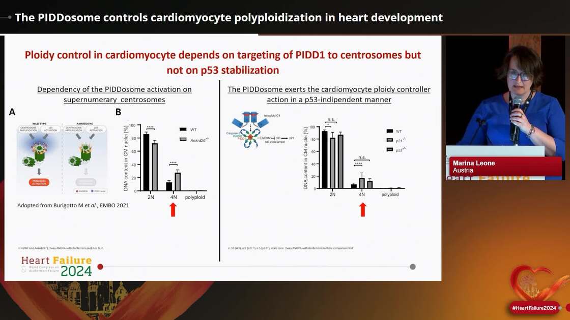 ESC 365 - The PIDDosome controls cardiomyocyte polyploidization in ...