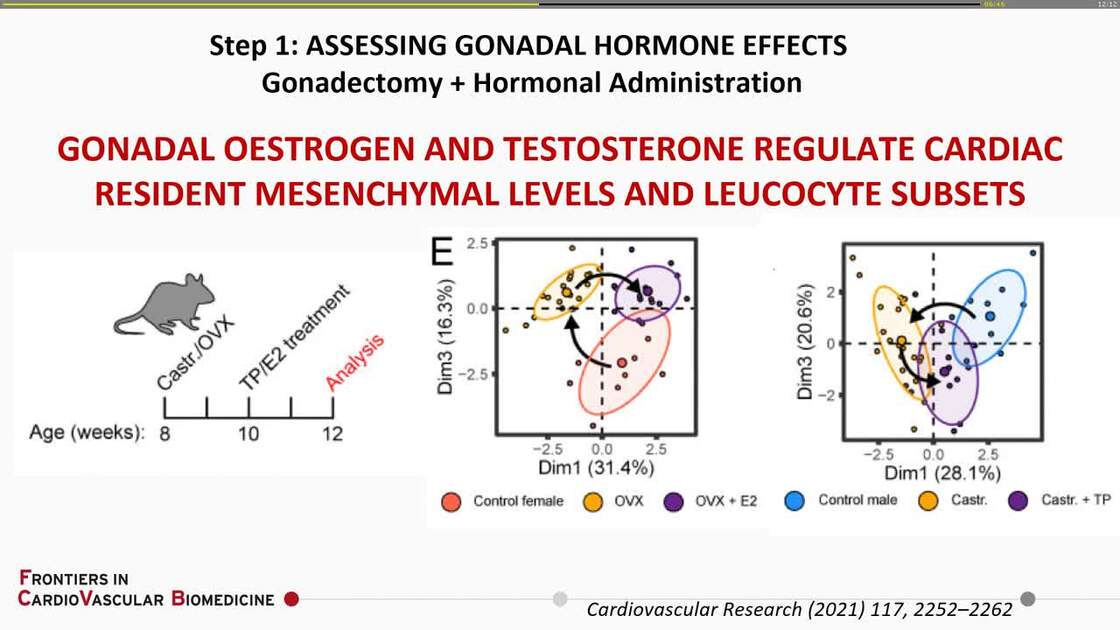 Esc 365 Improving Translational Research In Sex Specific Effects Of