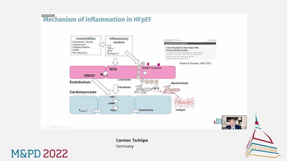 ESC 365 - Inflammation in heart failure: from myocardial infarction ...