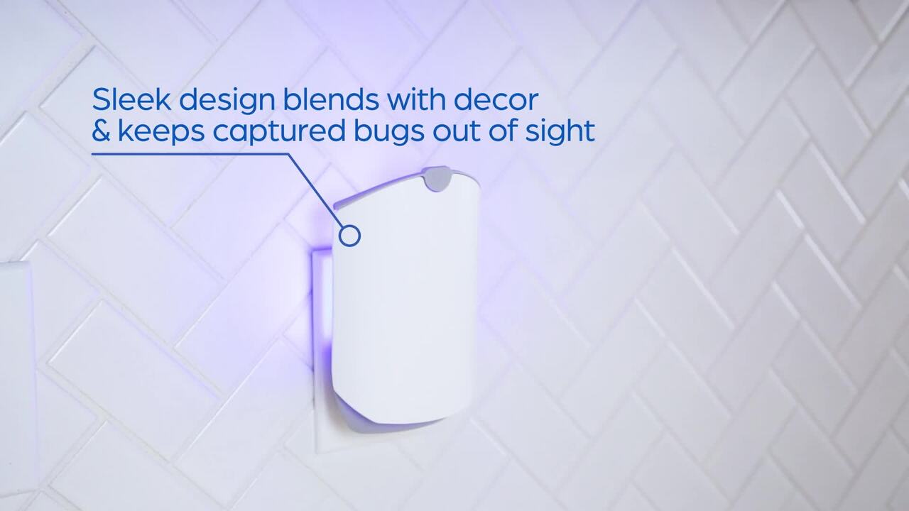 ZEVO Indoor Flying Insect Trap Refill Cartridges Multi-Pack (4-Count ...