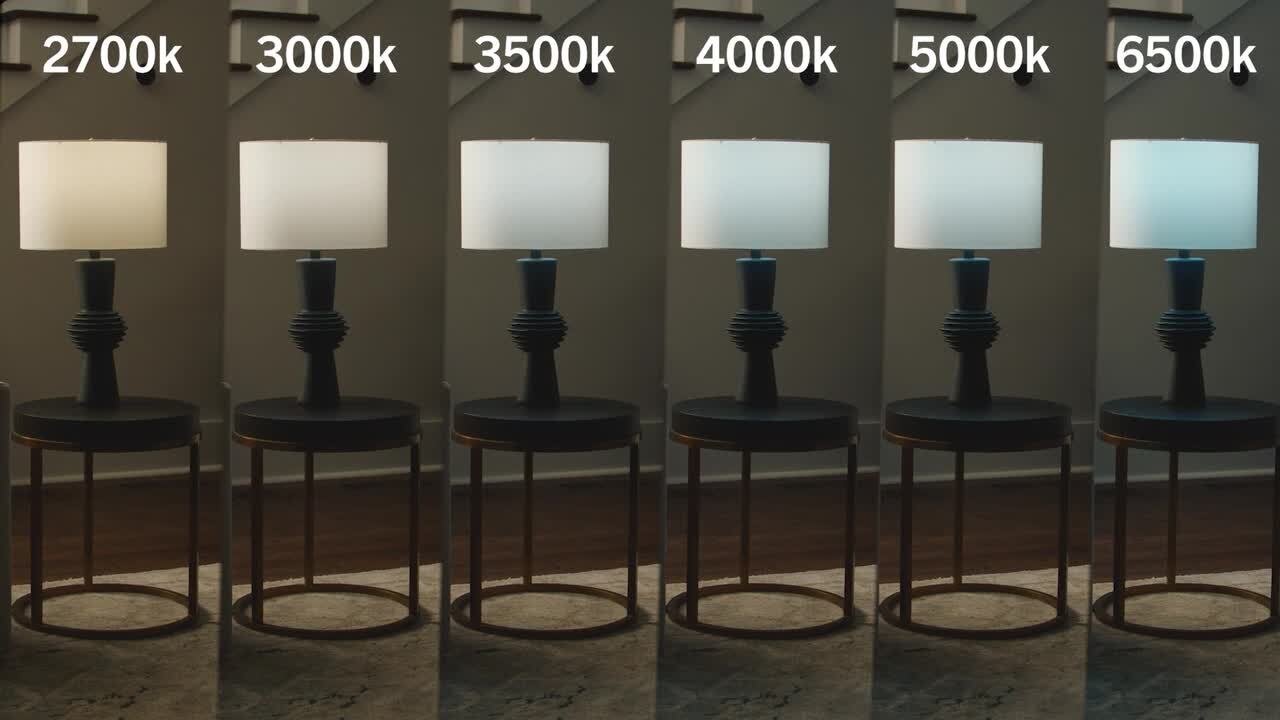 EcoSmart Universal Select 40/60/75/100-Watt Equivalent A19 Dimmable LED ...