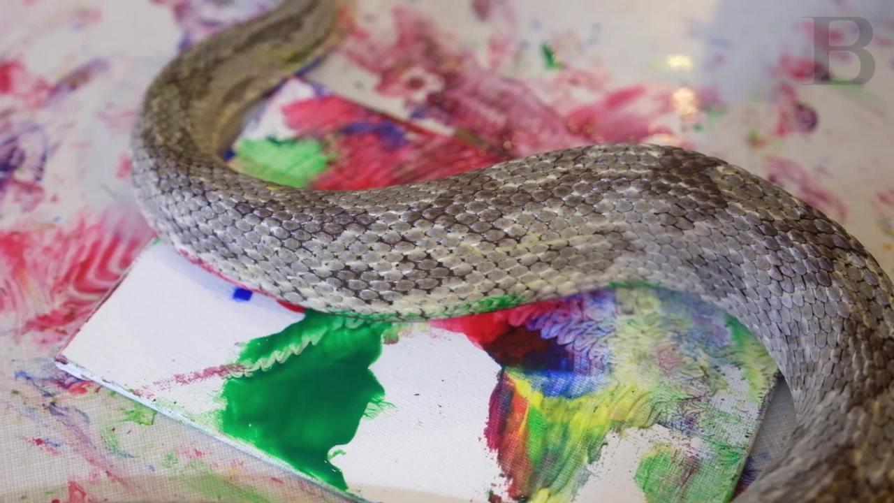 Creative Critters: Art by animals raises money for Nature's Nursery ...