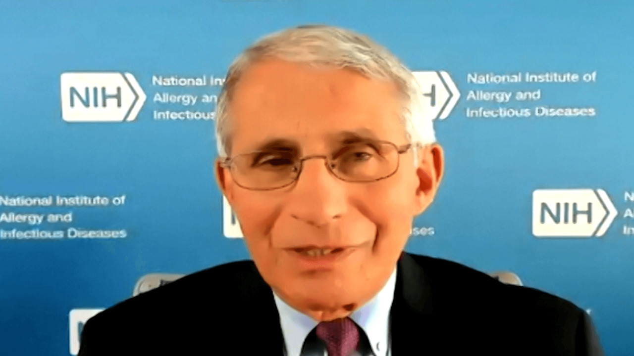 Fauci talks testing wait times and death threats to family with Harvard ...