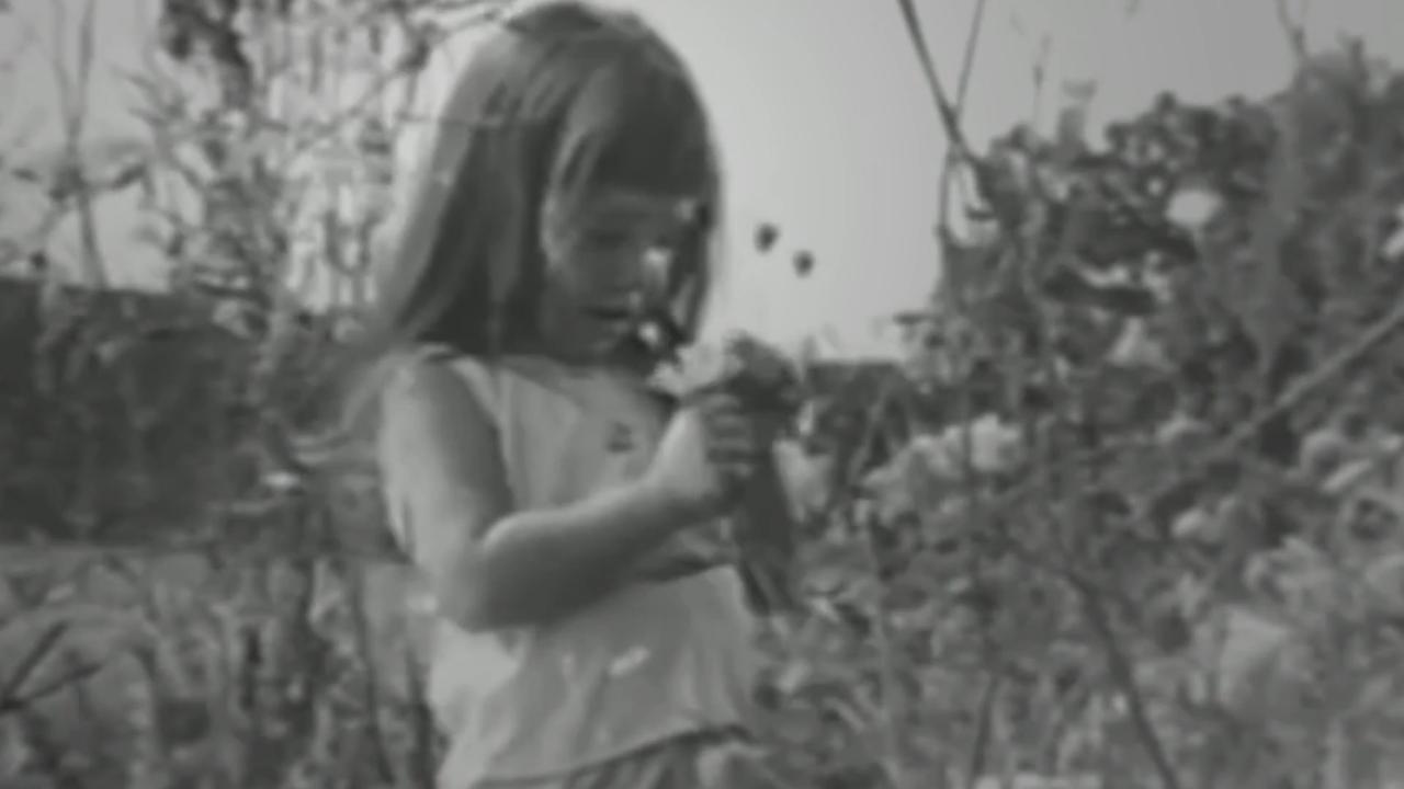 Clinton ad: 'Daisy' - POLITICO