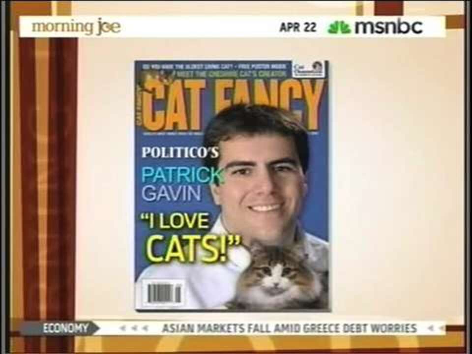 Gavin on 'Cat Fancy?' - POLITICO
