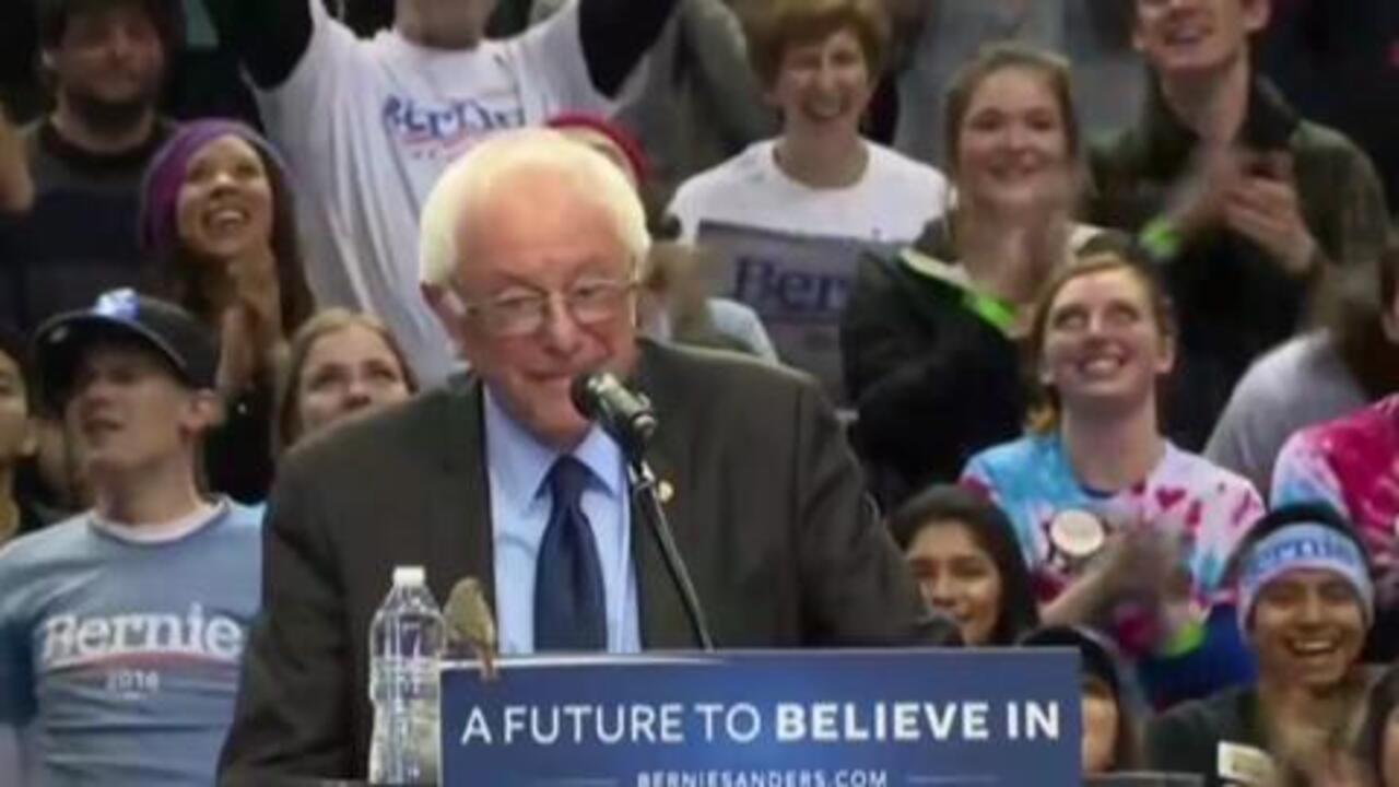 'Peace' bird sends Sanders crowd a-flutter - POLITICO
