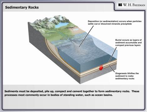 Sedimentary Layers Diagram