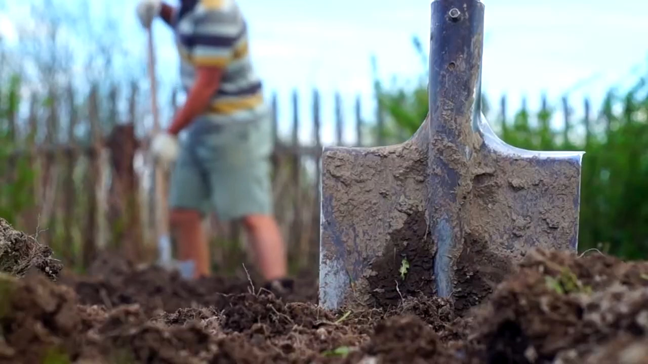 Keep Your Home Safe and Avoid Fines by Calling 811 Before You Dig - PG ...