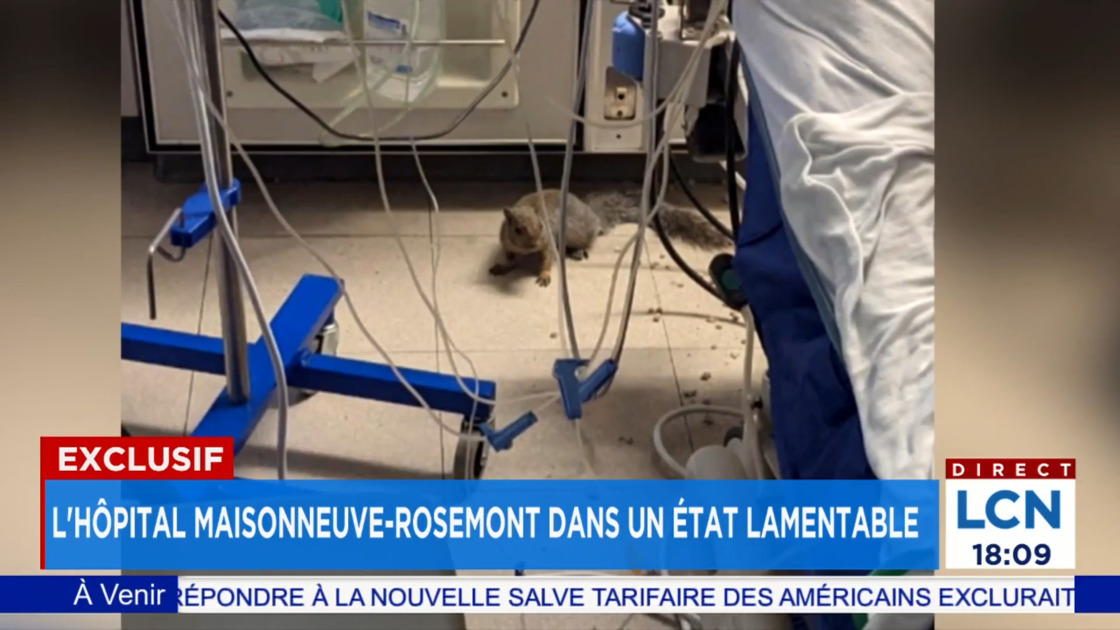 Vidéos et bulletins de nouvelles | TVA Nouvelles