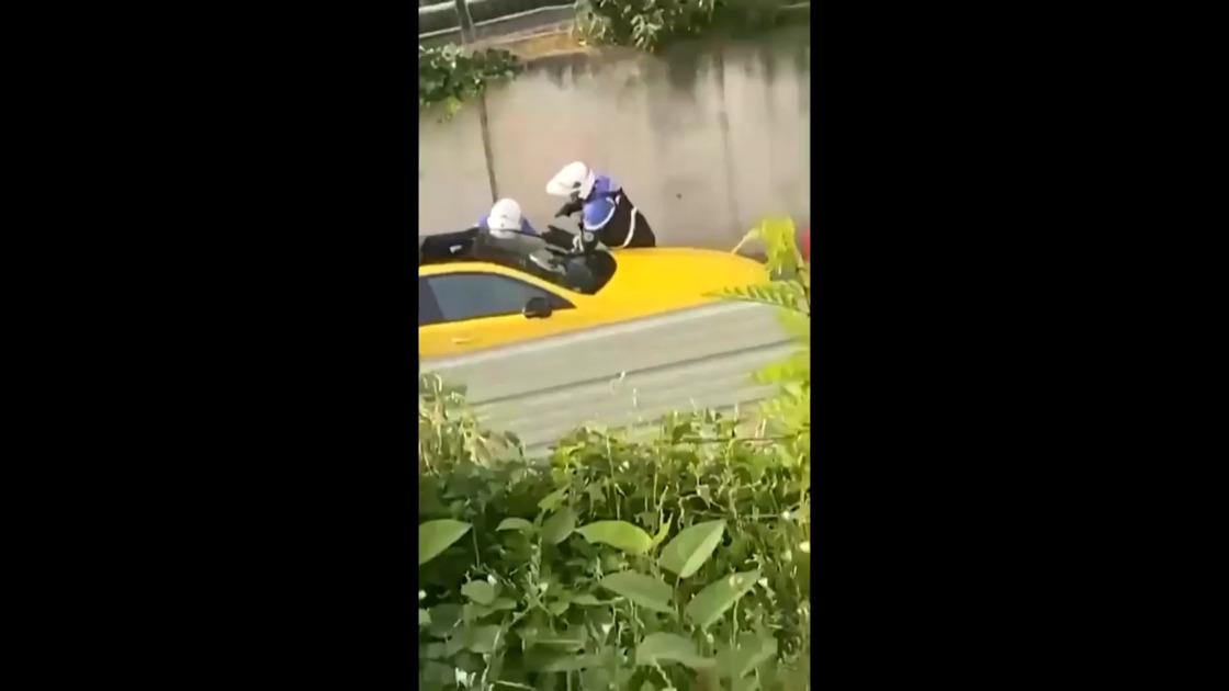 Vidéos et bulletins de nouvelles | TVA Nouvelles