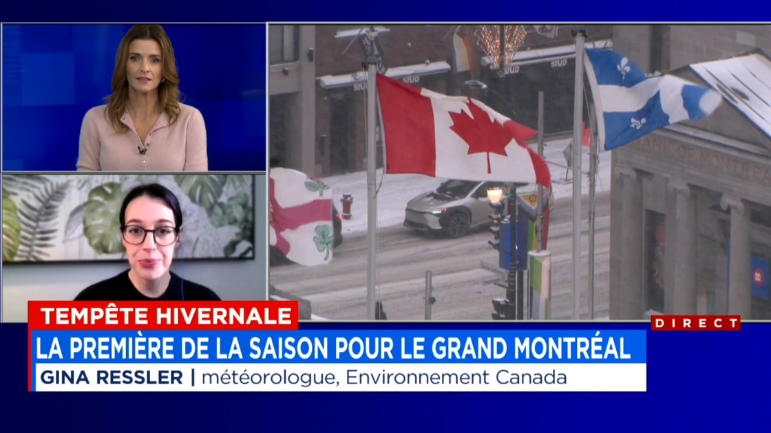 Vidéos et bulletins de nouvelles | TVA Nouvelles