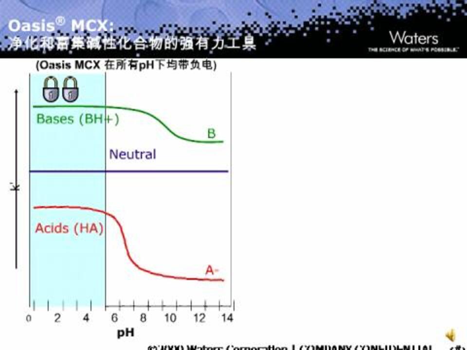 沃特世公司高效的SPE方法开发策略 - Oasis 2*4方法学 - Waters Videos
