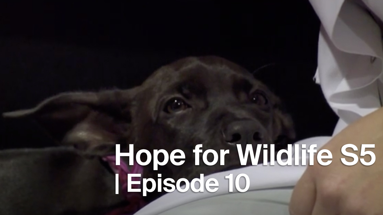 Hello Beautiful | TVO Today