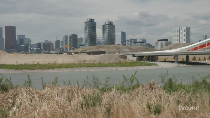 Centennial Seeds: Toronto's Port Lands Discovery | TVO Today