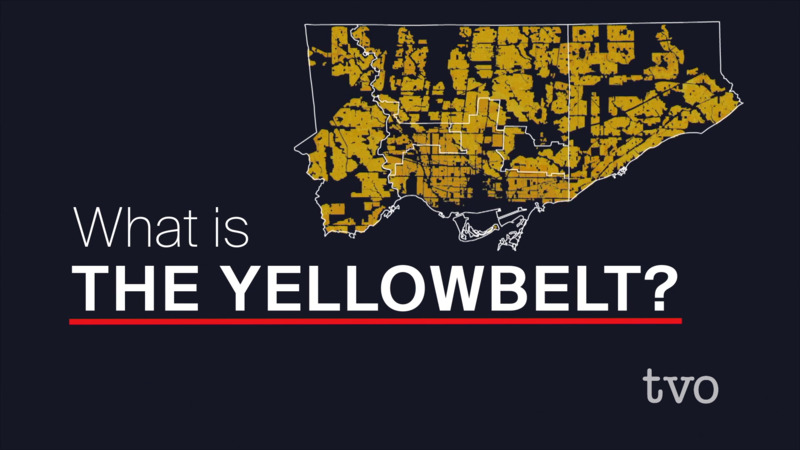 What is the Yellowbelt? | TVO Today