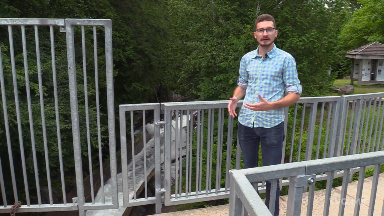 How Log Chutes Transformed the Lumber Industry | TVO Today