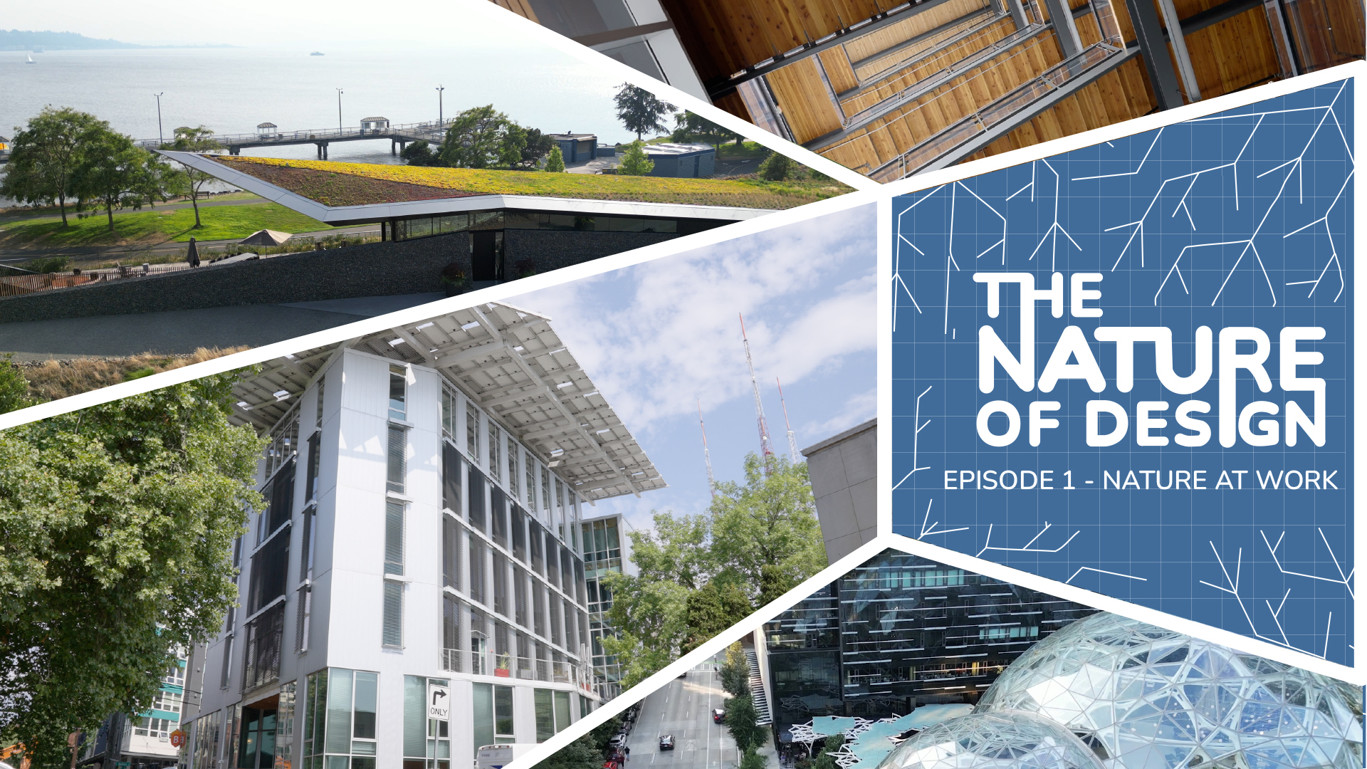 The Nature of Design | TVO Today