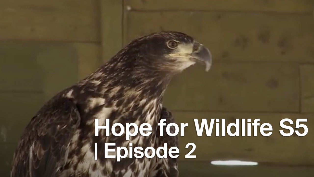 Just Another Day | TVO Today