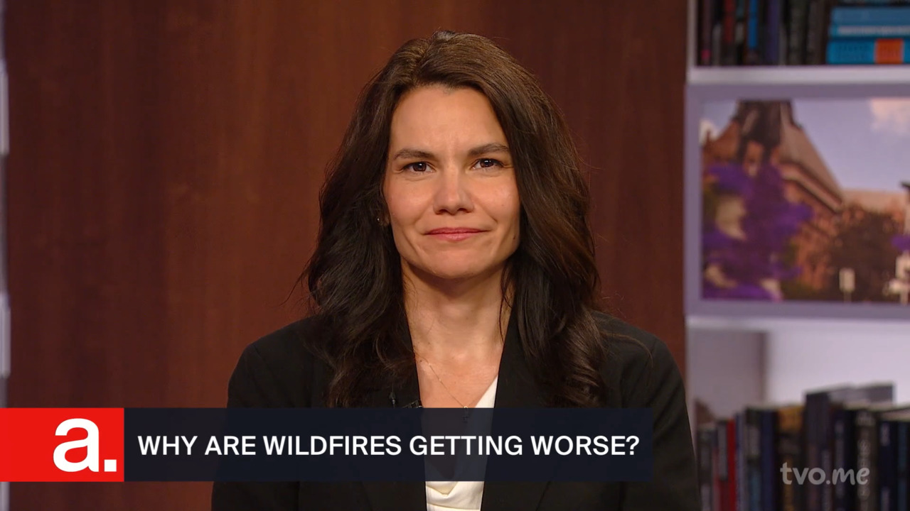 Why are Wildfires Getting Worse? | TVO Today