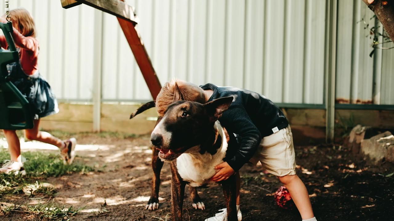 In Ground Dog Poop Composter
