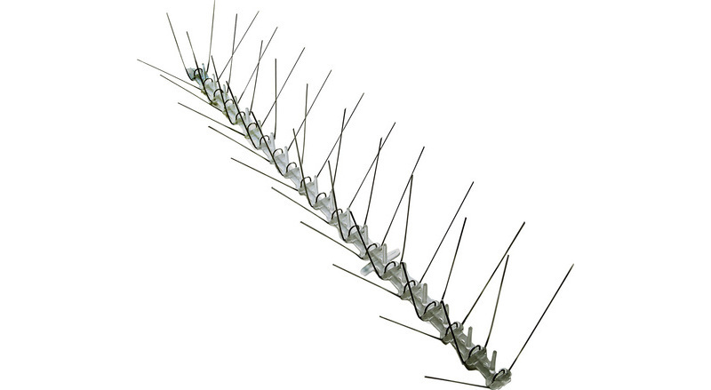 Bird-X Stainless Steel Bird Spikes — 10ft.L x 8in.W, Model# EWS-10 | Northern Tool
