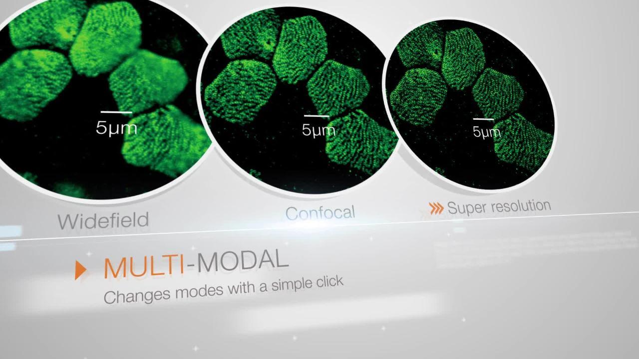 IXplore SpinSR Spinning Disk Confocal Microscope from Evident ...