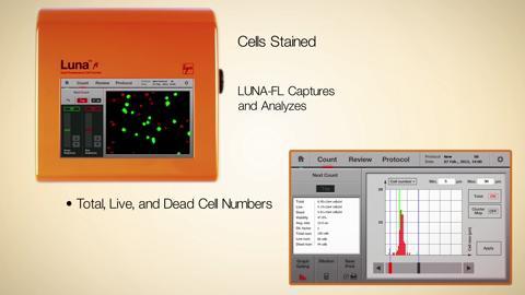 LUNA-FL™ Dual Fluorescence Cell Counter from Logos Biosystems ...