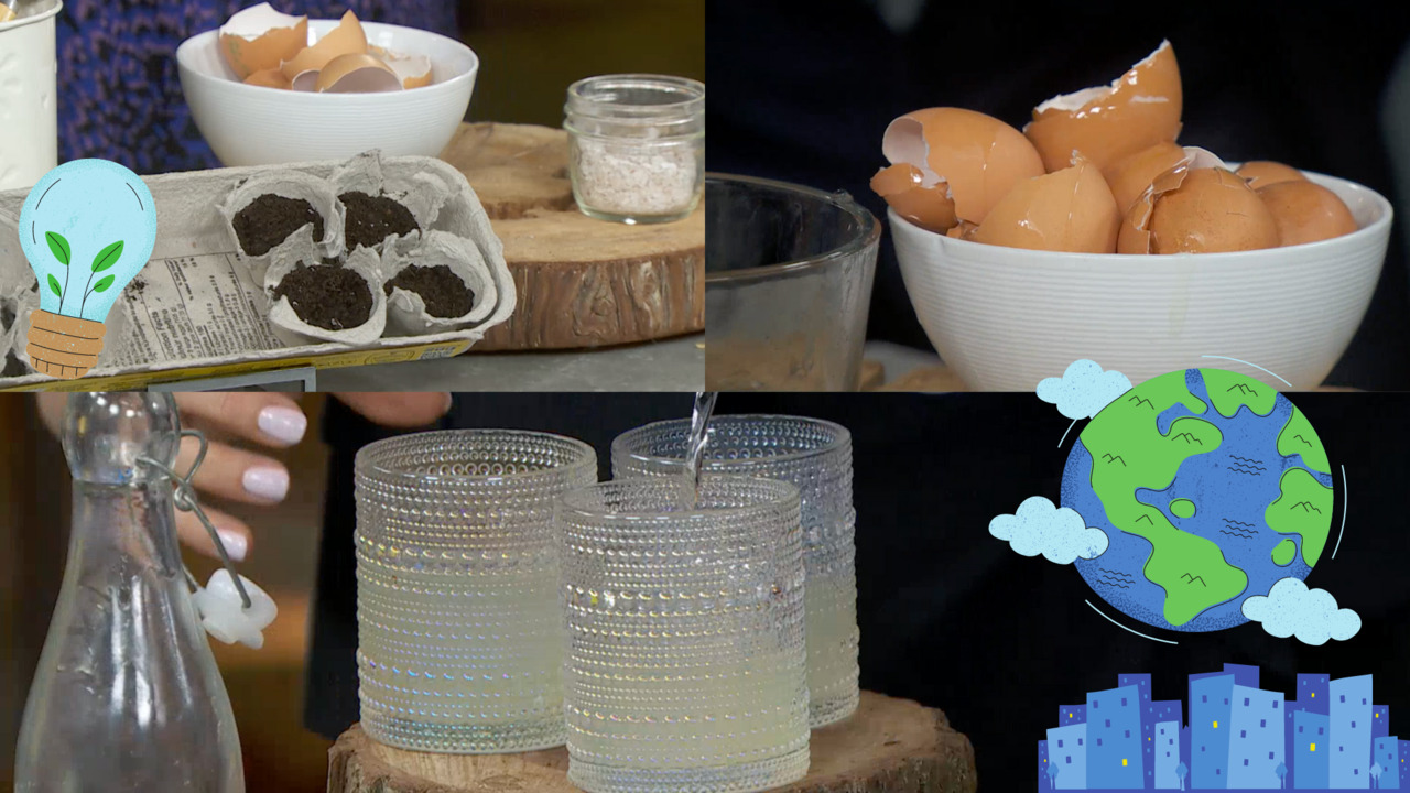 How to make this Earth Hour your best one yet – Breakfast Television