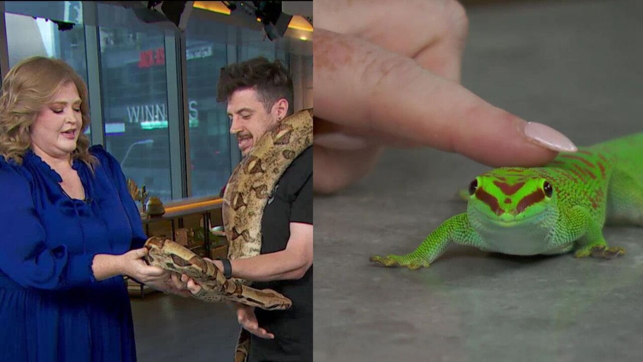 How YOU can get up close and personal with wildlife in Toronto this ...