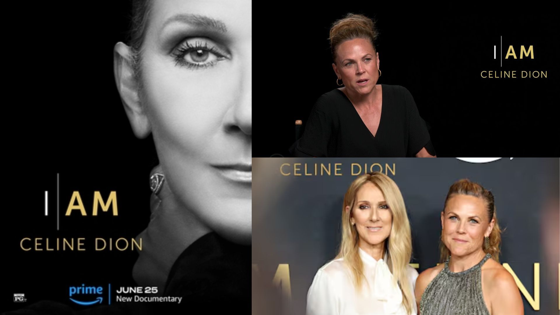‘I Am: Celine Dion’ Director Irene Taylor on creating the powerful film ...