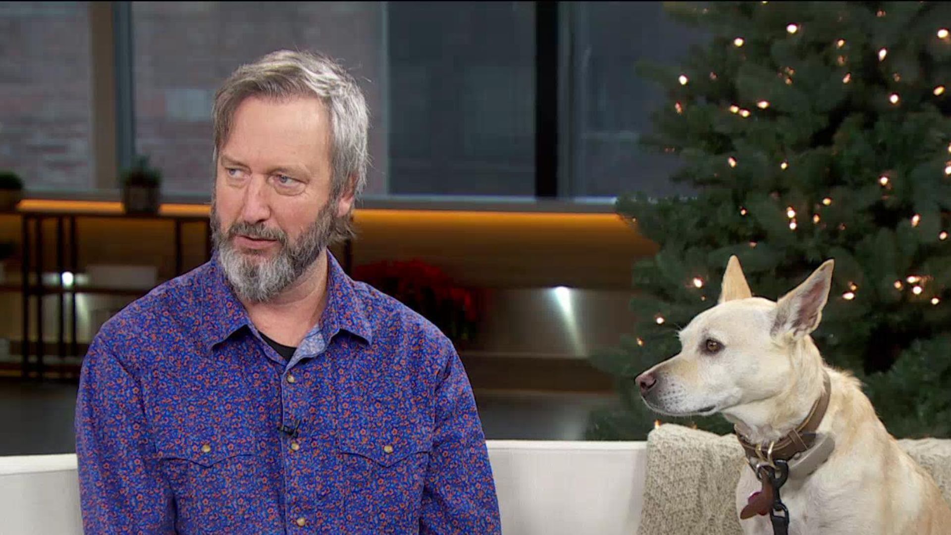 Comedian Tom Green on revisiting his past in new documentary ...