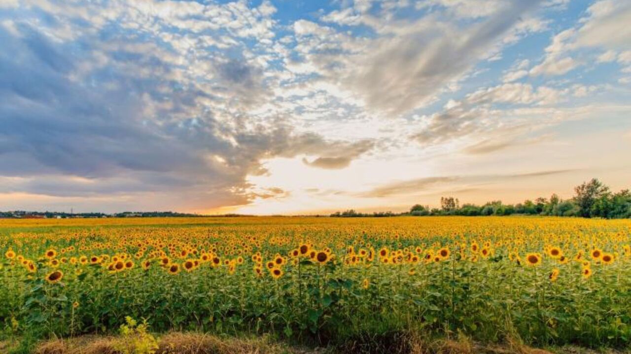 Billboard just revealed the song of summer 2024 – Breakfast Television