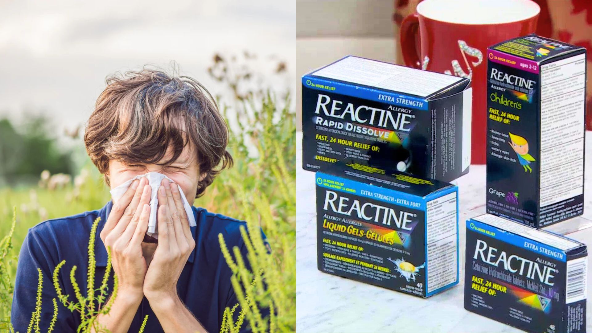 Physician Approved Tips To Effectively Combat Your Allergies