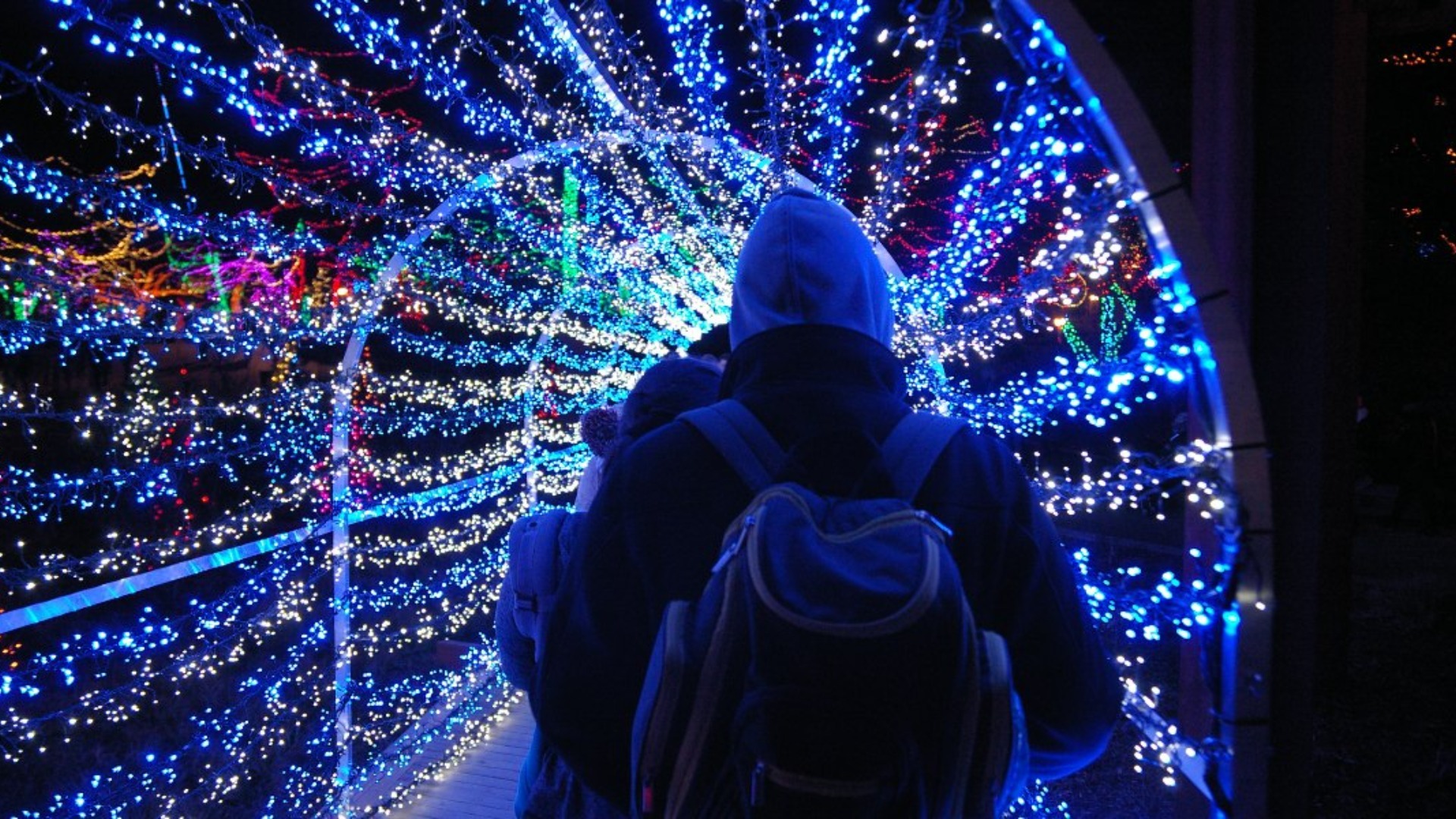 Experience the magic of Toronto’s ‘Winter Glow’ before it’s gone ...