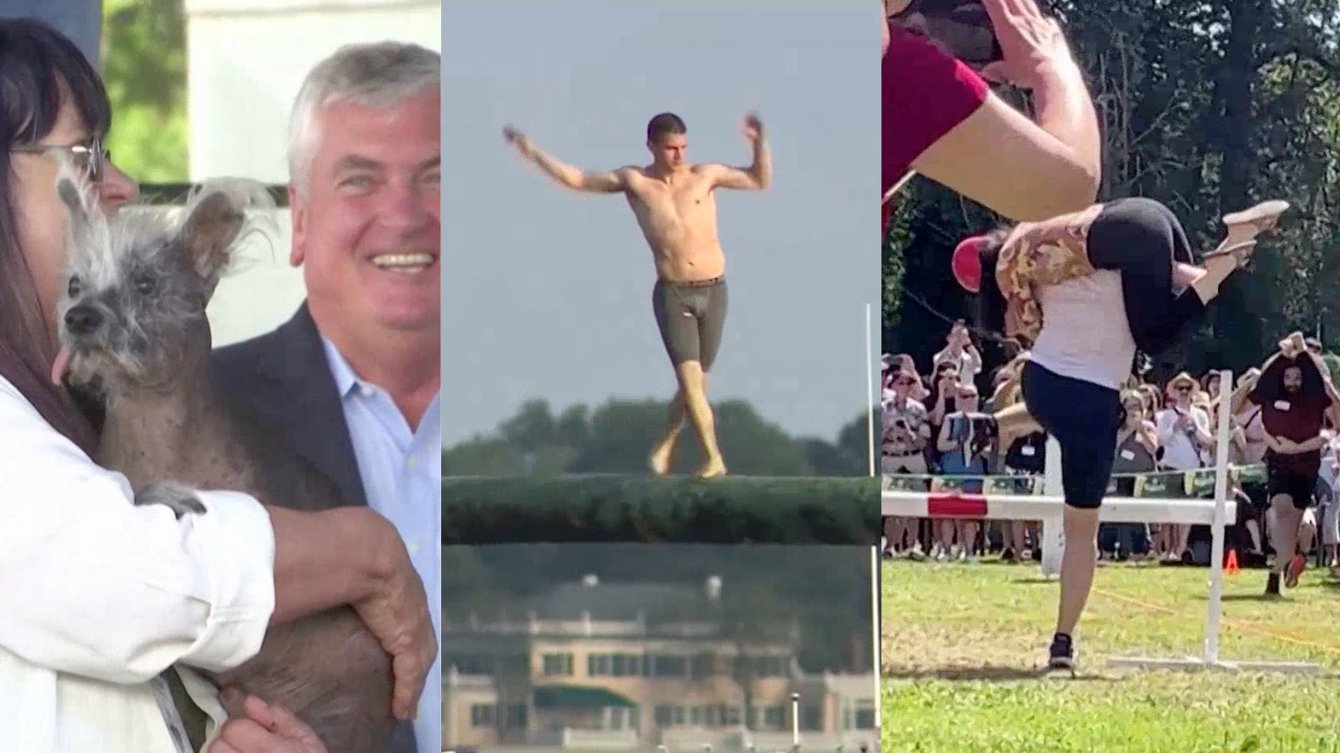 These annual competitions will leave you bursting out into laughter ...