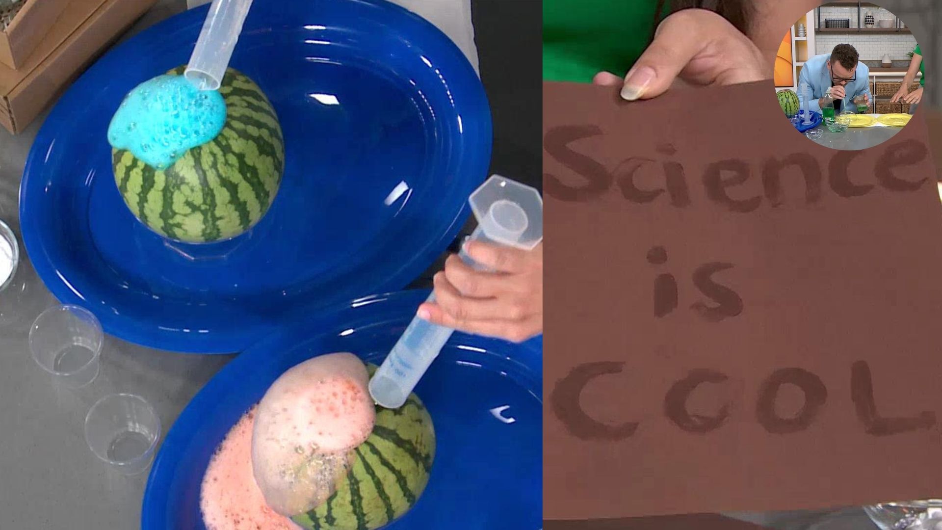 3 DIY science experiments that will get the entire family involved ...