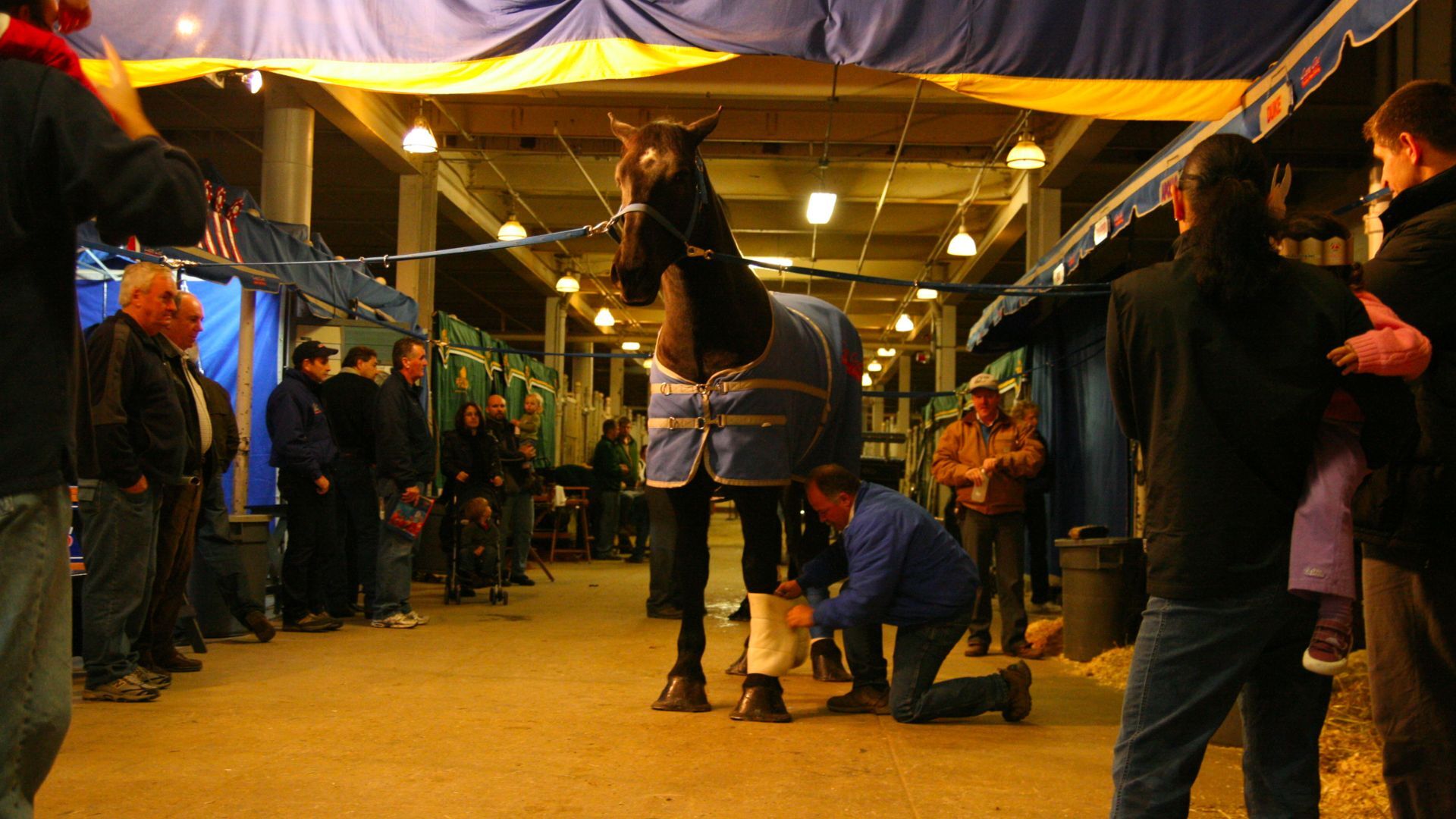 The country meets the city at the 101st Royal Winter Fair – Breakfast ...