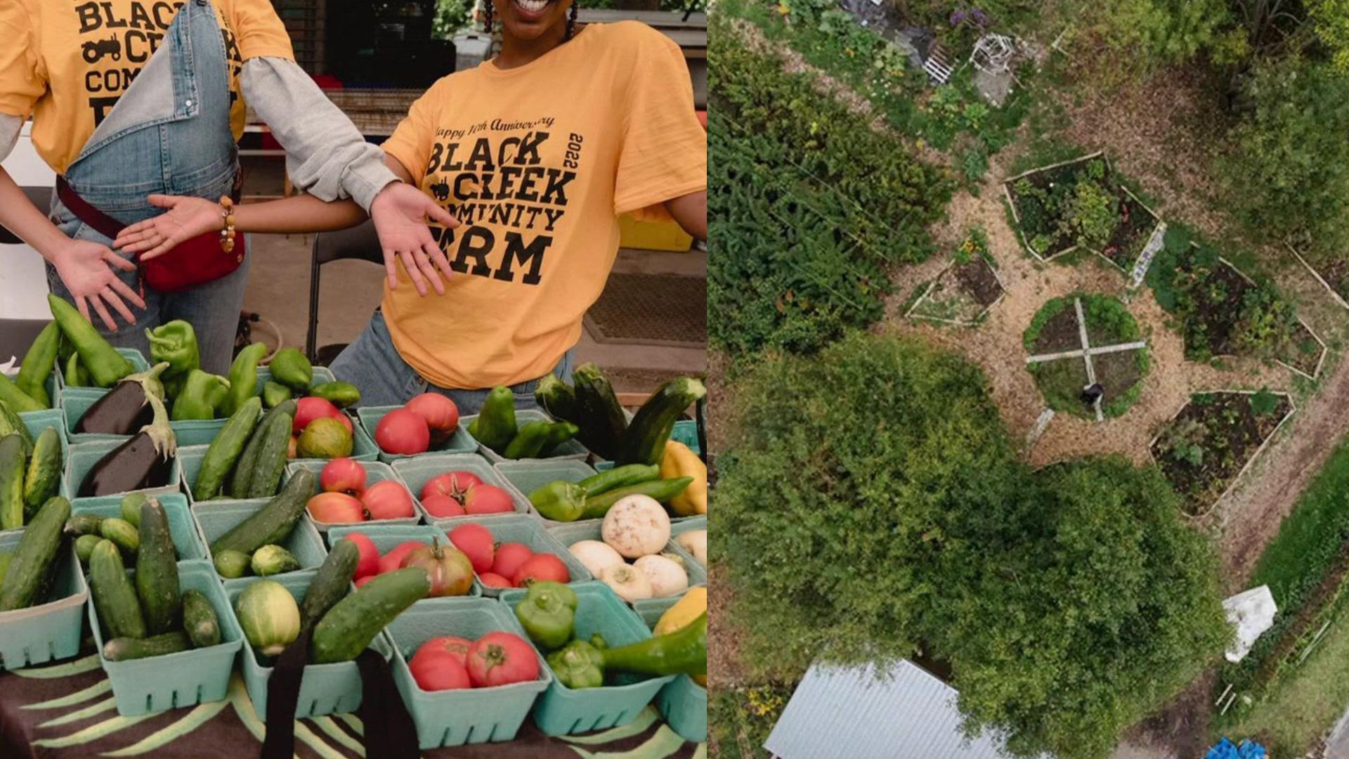 How Toronto is embracing urban farming in the heart of the city ...