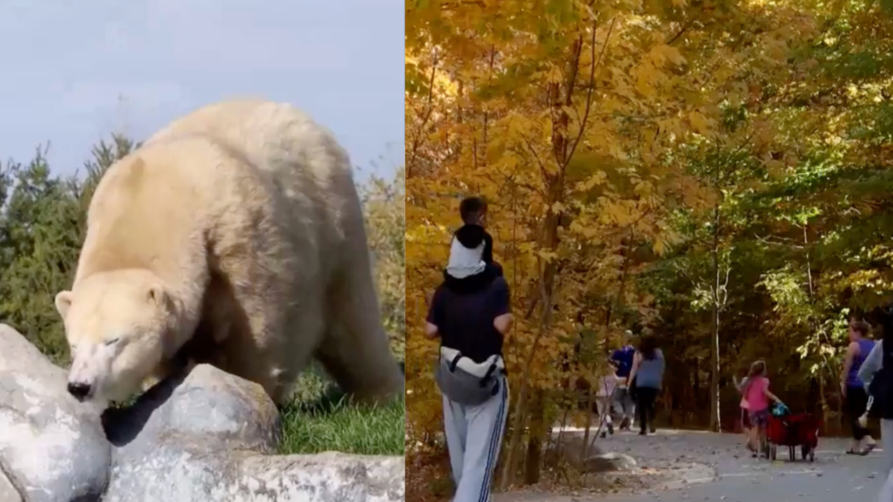 Inside the Toronto Zoo’s hands-on approach to wildlife education ...