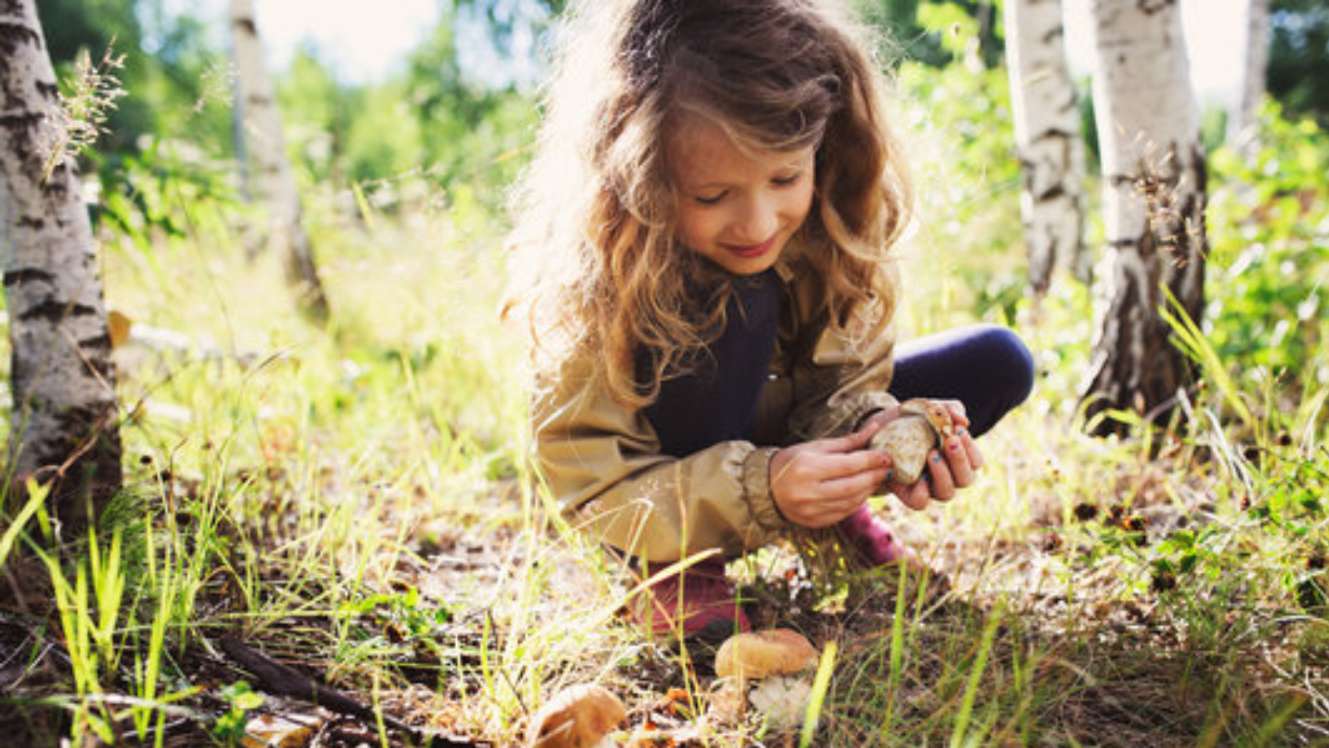 Wildlife is everywhere — and here’s what kids want to know about it ...