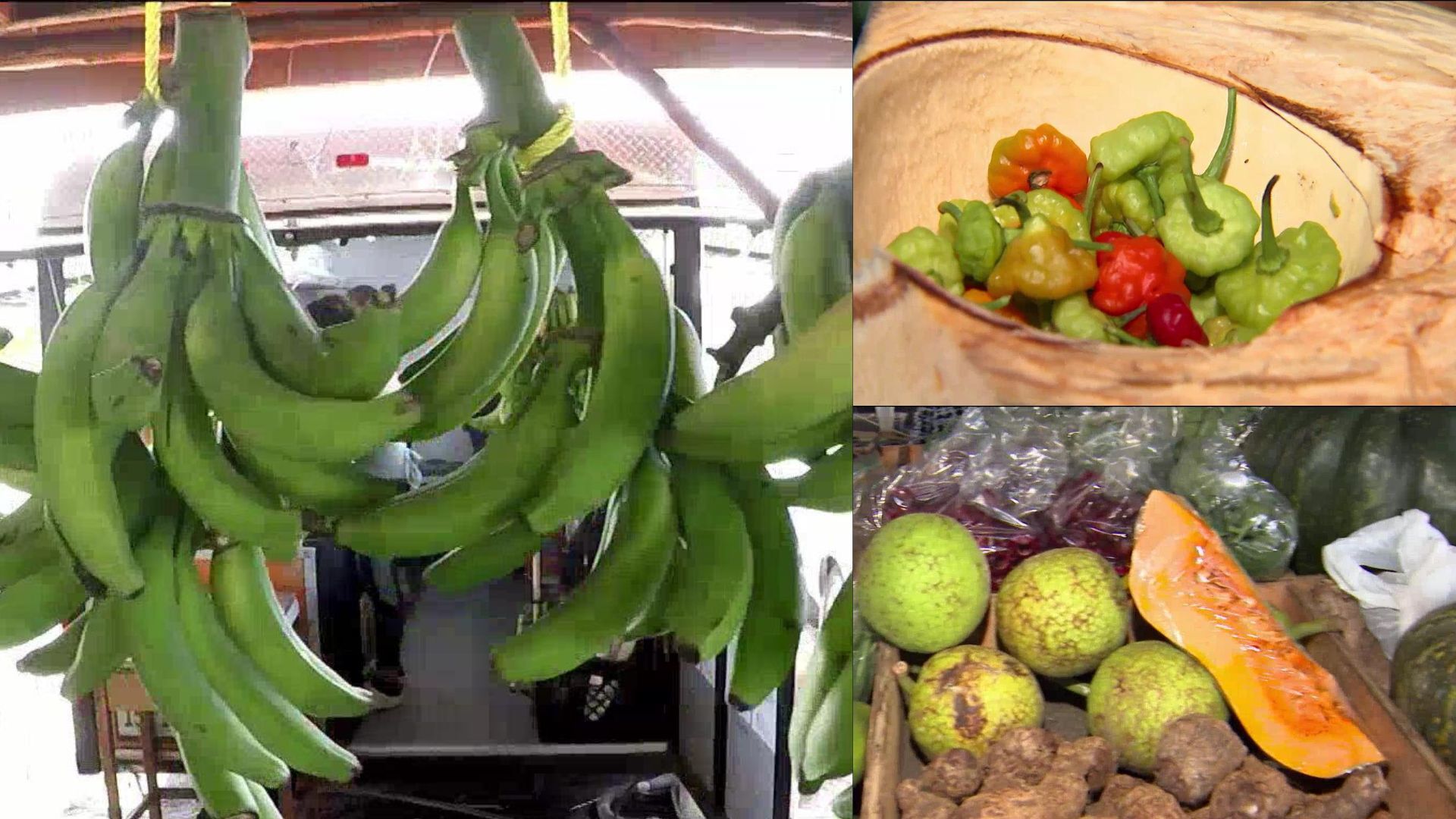 These fresh ingredients are what makes Cayman a top culinary ...